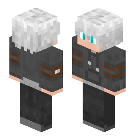 皮肤库 - Pigeon Skin